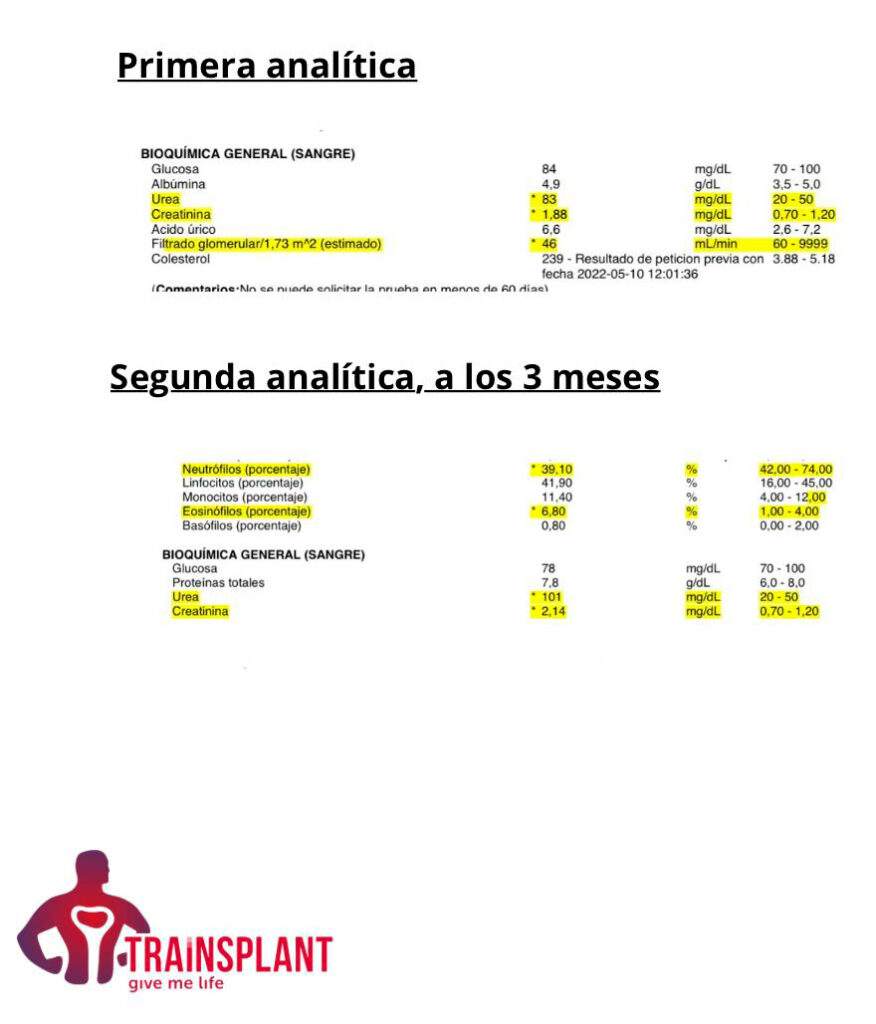 Interpretando los análisis del riñón - Traïnsplant