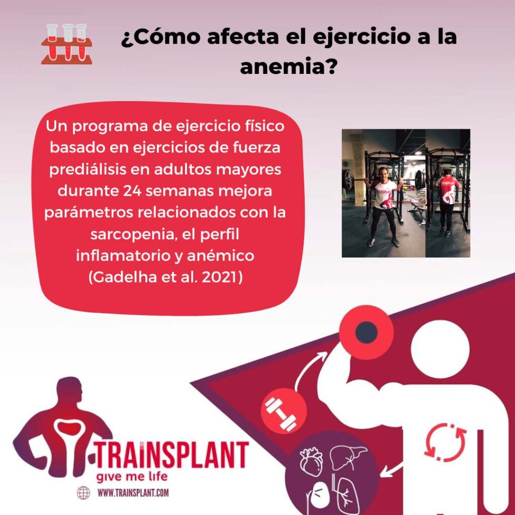 Anemia y ejercicio - Traïnsplant